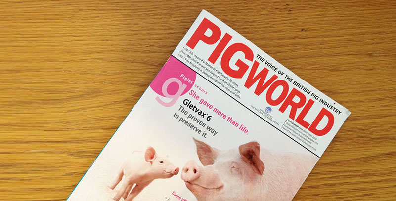 Pig World Subscription (UK residents)
