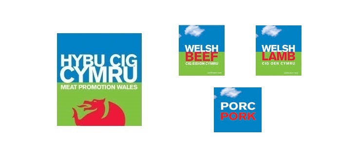 Welsh pork, lamb and beef sectors focus on “ambitious” expansion | Pig ...