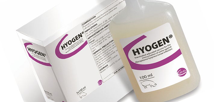 New M hyo vaccine provides strong protection for pig lungs | Pig World