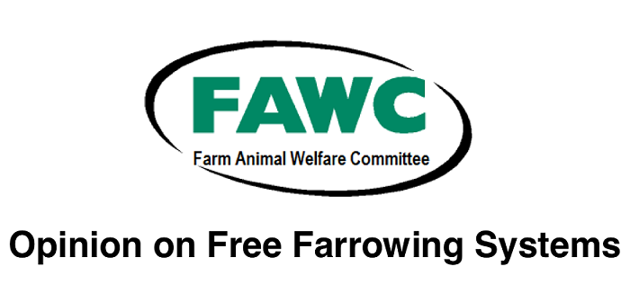 Free farrowing report recommends progress review in five years | Pig World