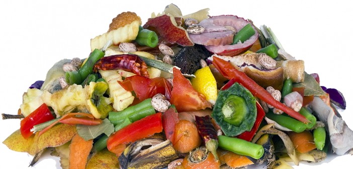 Study suggests it’s time to start feeding pigs food waste | Pig World