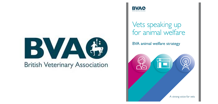 “Vets speaking up for animal welfare” launched by BVA | Pig World
