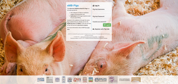Electronic medicine book launched for pigs | Pig World