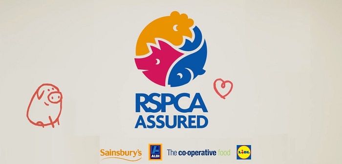 RSPCA Assured gets major supermarket backing | Pig World