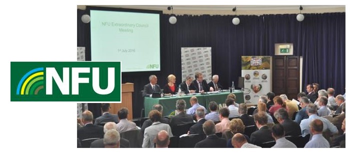 NFU to launch "most significant" Brexit consultation - Pig World