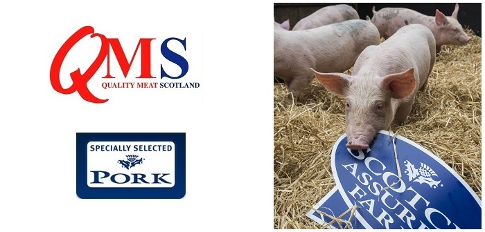 Specially Selected Pork to bid for top Scotch brand title | Pig World