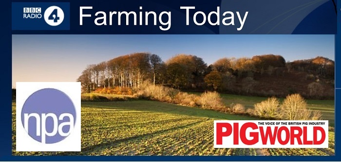 Farming Today launches week-long focus on pigs | Pig World