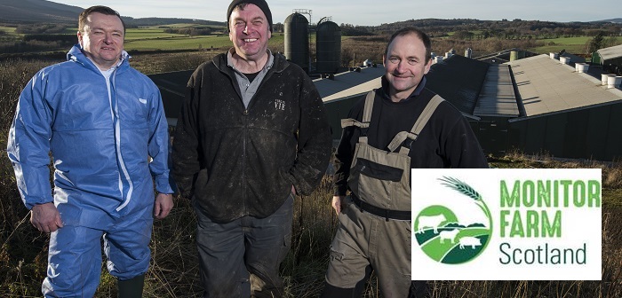 New pig monitor farm named in Scotland | Pig World