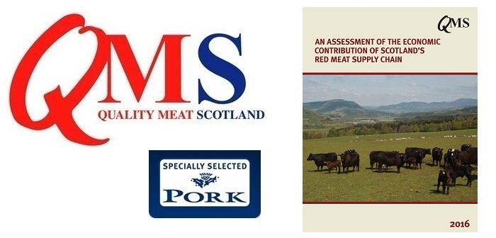 Scottish red meat industry worth £2.4 billion | Pig World