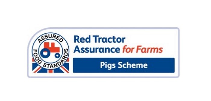 New certification body needed for 300 Red Tractor pig members | Pig World