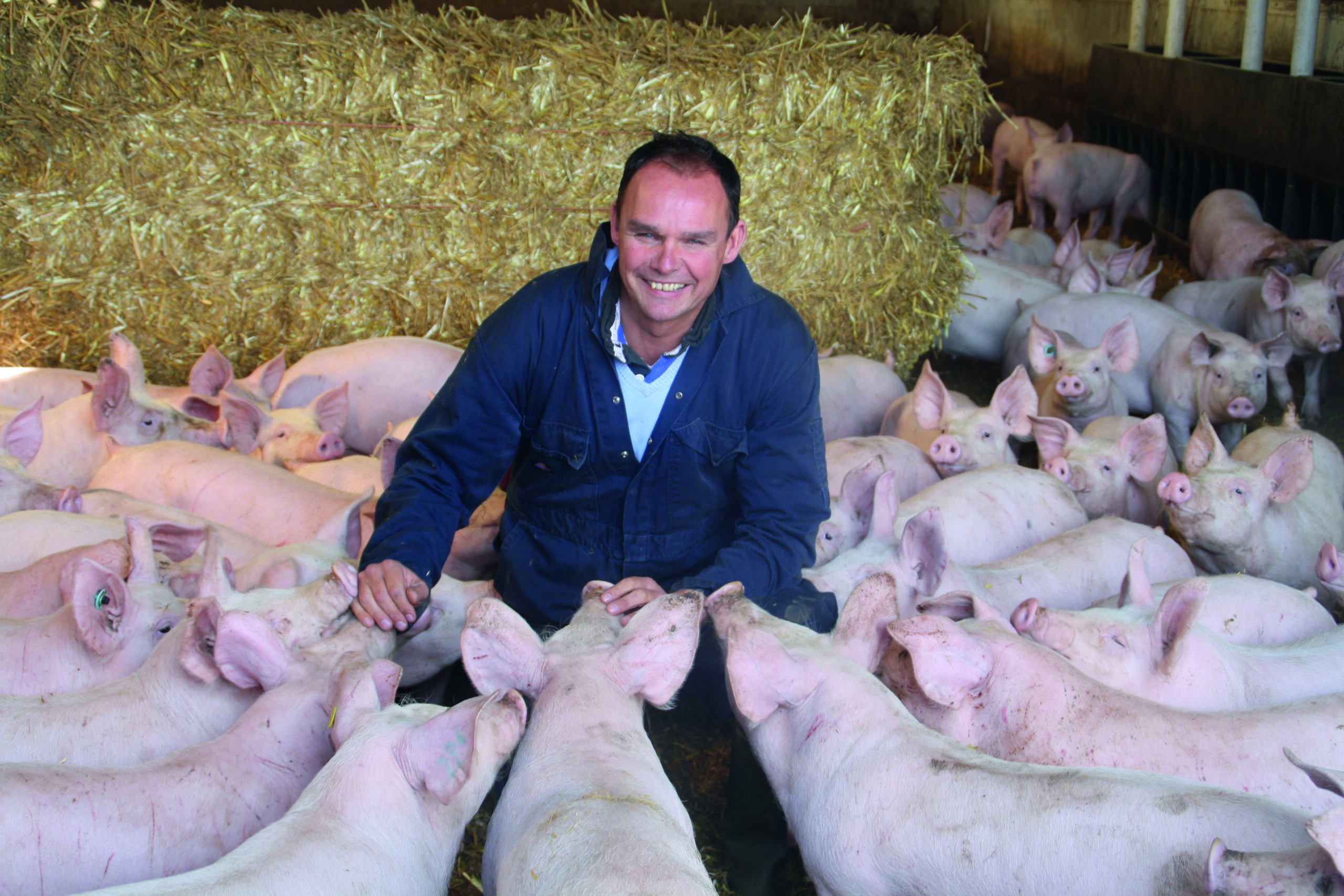 New antibiotic targets ‘challenging but achievable’ - Pig World