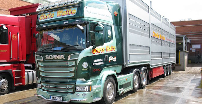 Defra announces changes to rules governing transport of live animals ...