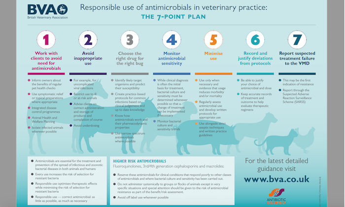 BVA launches new 7-point antibiotic plan poster | Pig World