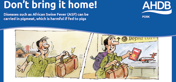Don’t bring it home! AHDB Pork warns of ASF risk | Pig World