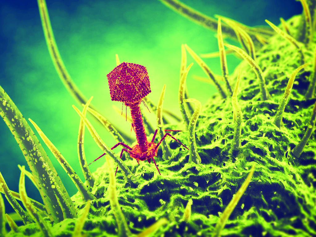 A breakthrough to defuse the antibiotic time bomb? | Pig World