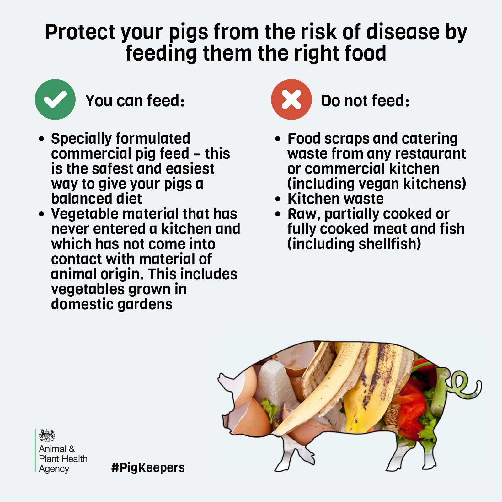 Countryfile puts spotlight on African Swine Fever | Pig World