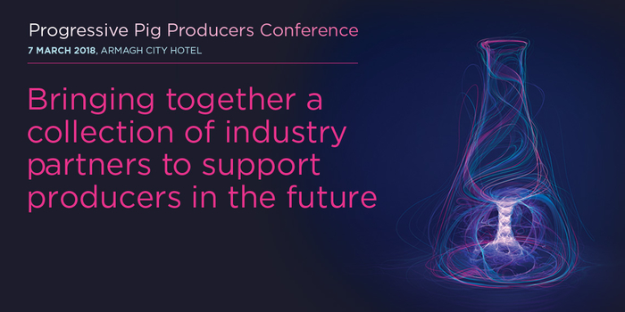 ‘Future looking’ pig conference to take place in Armagh | Pig World