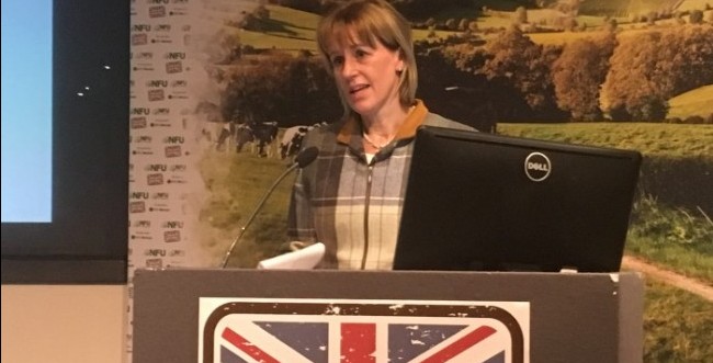 Minette Batters calls on Government to put ‘Team Agriculture’ at heart ...