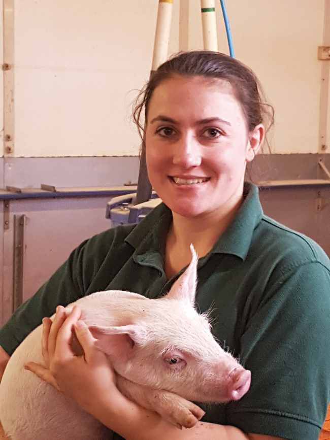 How producers can make the most of the colostrum goldmine - Pig World