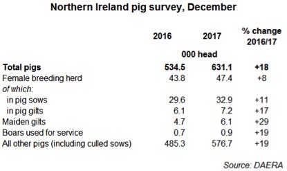 Northern Ireland pig herd continues to expand | Pig World