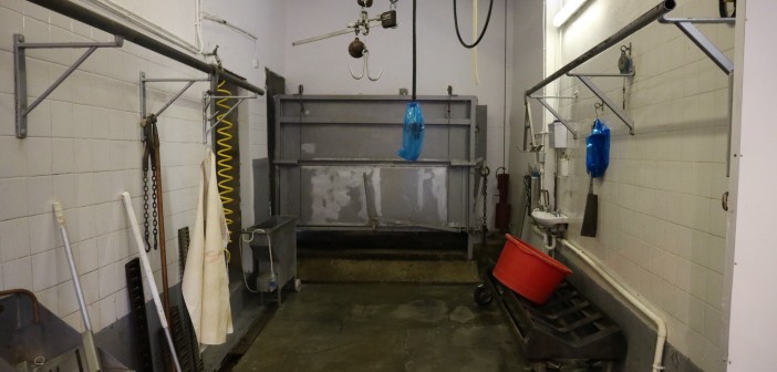 Call for Government to save small abattoirs | Pig World