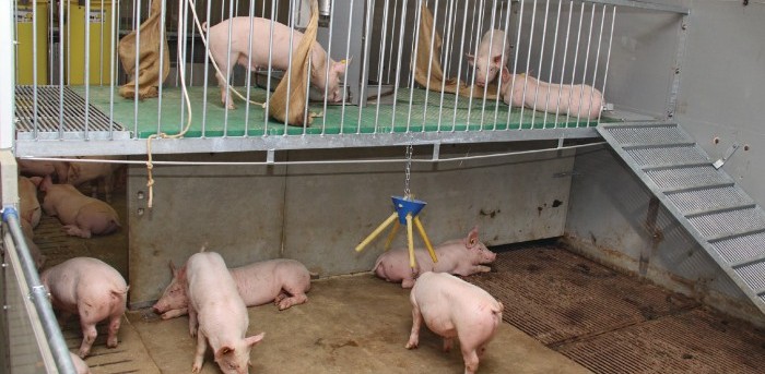 Could balcony systems be the answer to our housing problems? | Pig World