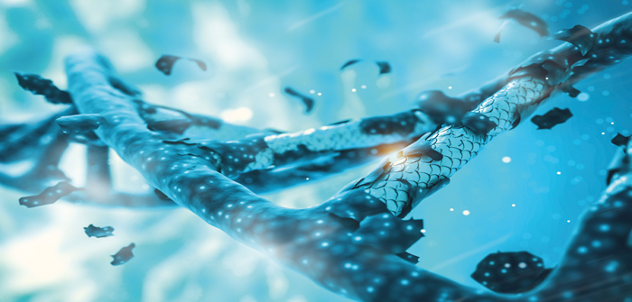 Government to establish regulatory system for precision bred animals ...