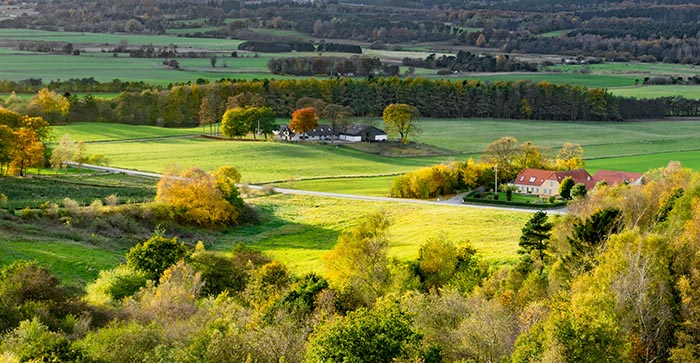 A glass viewing gallery over the plant – lessons we can learn from ...