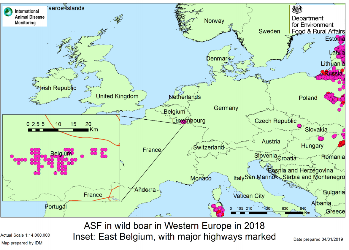‘Concern’ over threat of wild boar spread of ASF into France | Pig World