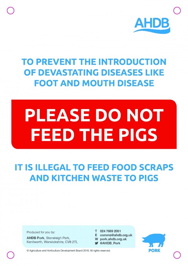 ASF threat – what more can be done? - Pig World