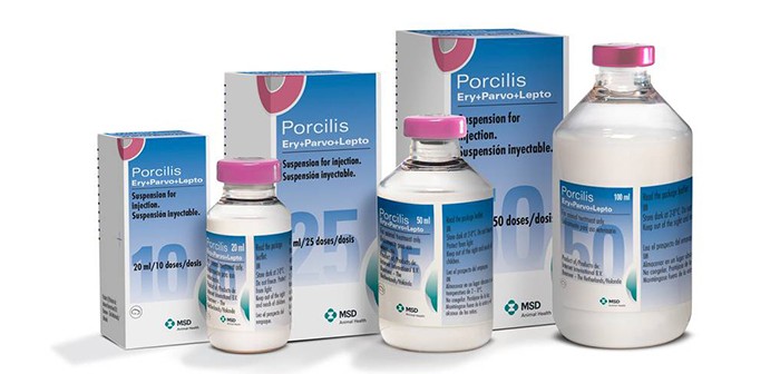 New triple protection pig vaccine from MSD | Pig World