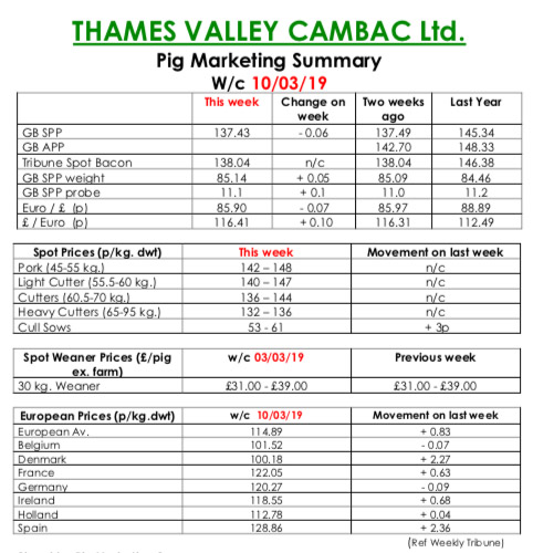 This week’s Pig Marketing Summary highlights "mediocre demand" - Pig World