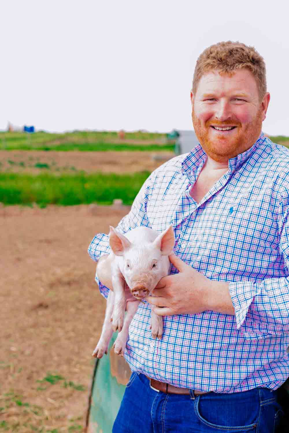 Farm Resilience Award won by pig producer | Pig World