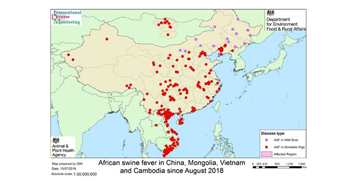 One year on: ASF in China | Pig World