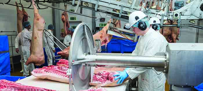 Brechin plant acqusition may alleviate challenges facing Scottish pig ...