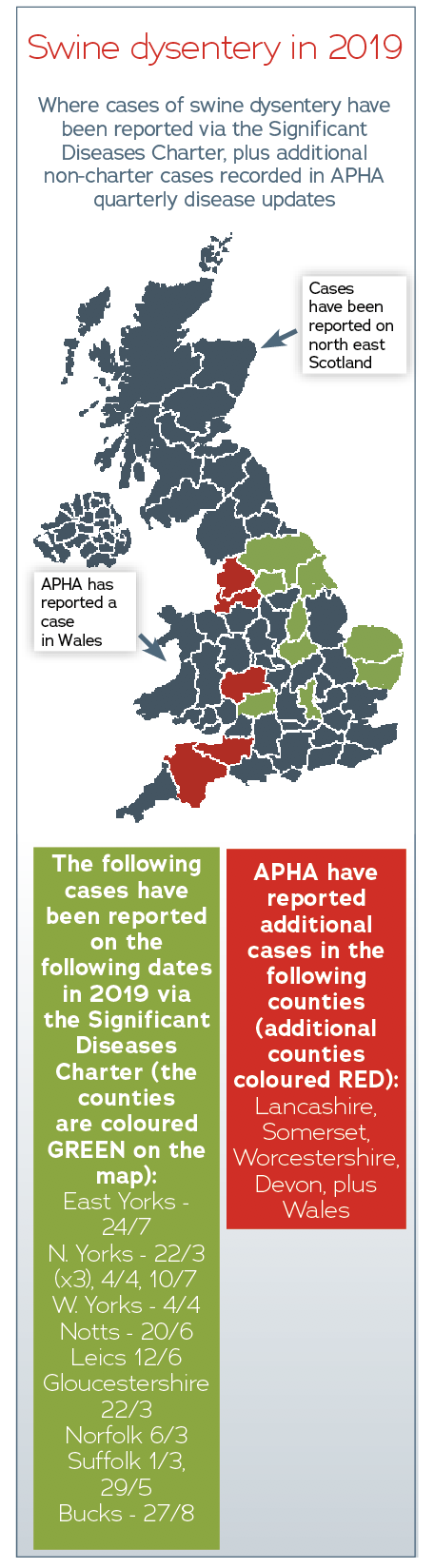 Another case of swine dysentery confirmed in Norfolk | Pig World