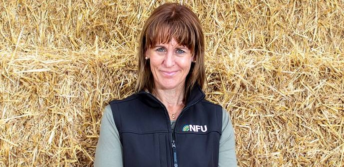 Minette Batters issues warning on post-Brexit trade deals in New Year ...