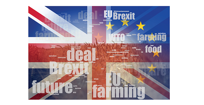 Brexit heralds massive agricultural reform – is it an opportunity or a ...