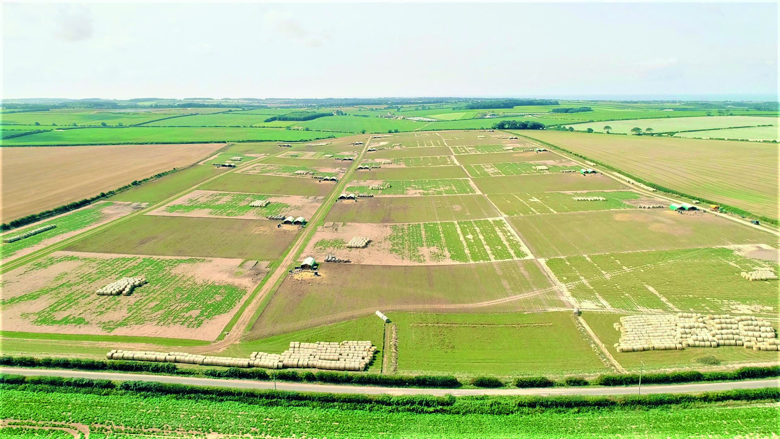 The mutual benefits of outdoor pig production | Pig World