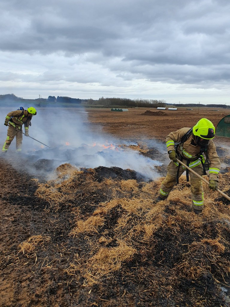 Pedometer eaten by pig sparks fire – and mass media coverage! | Pig World