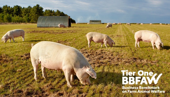 UK companies dominate as Cranswick retains Tier 1 ranking in global ...