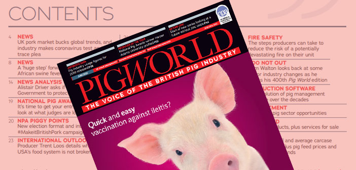Pig World – June 2020 | Pig World