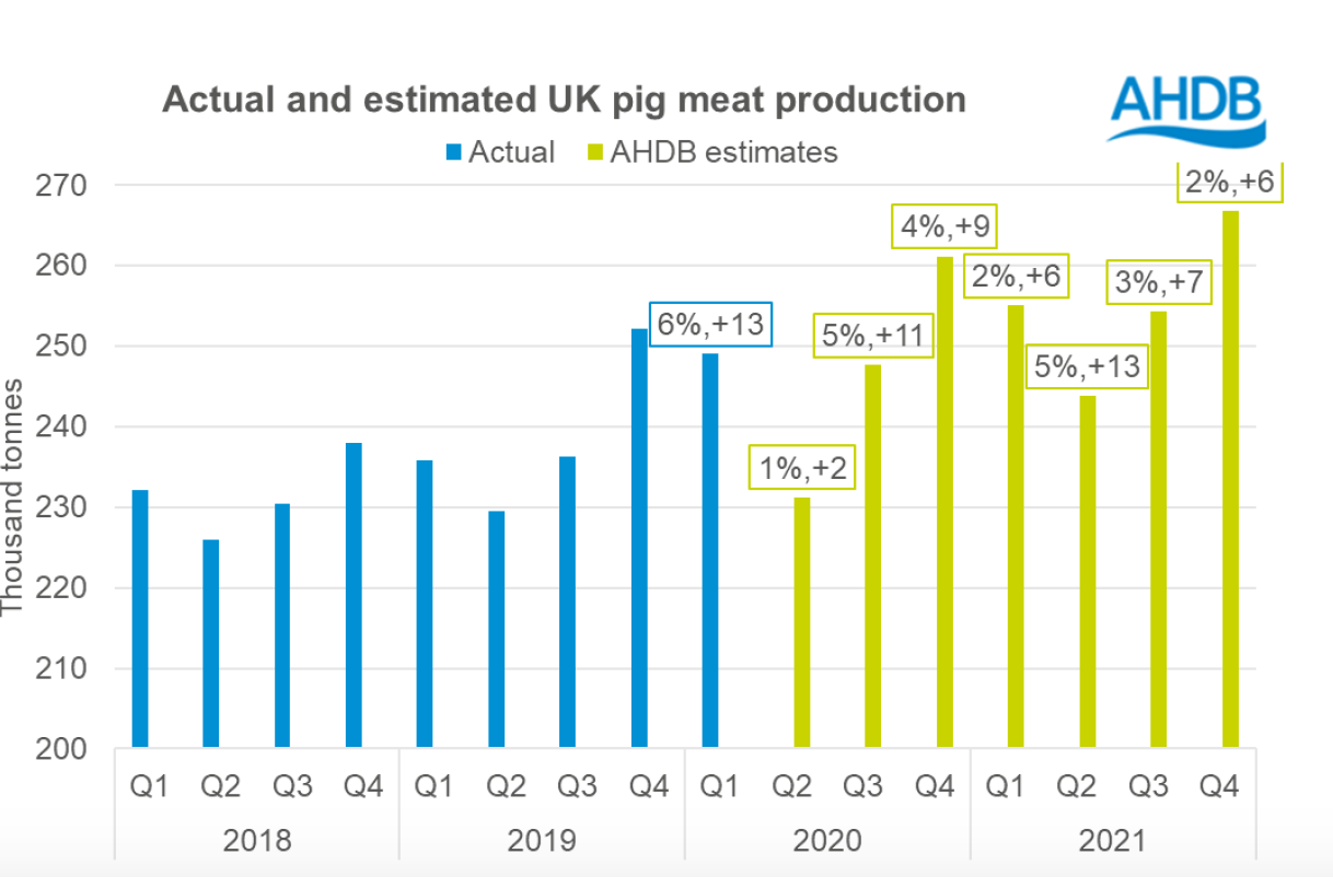 High UK pork price could be here to stay for the rest of 2020 – AHDB ...