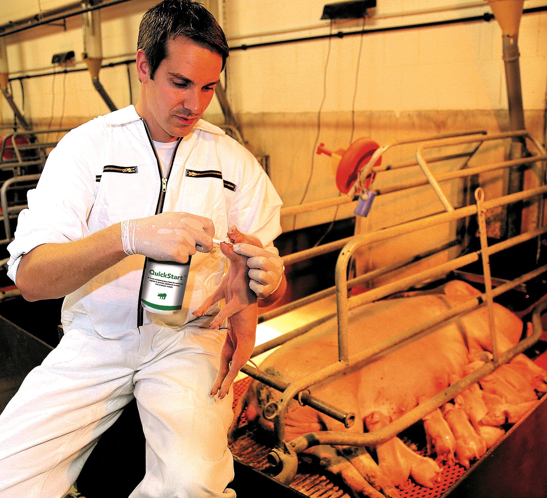 Products to help producers rear more pigs enter UK industry | Pig World