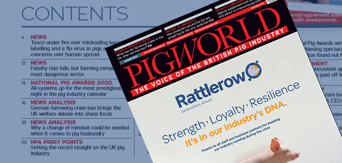 Pig World – August 2020 | Pig World