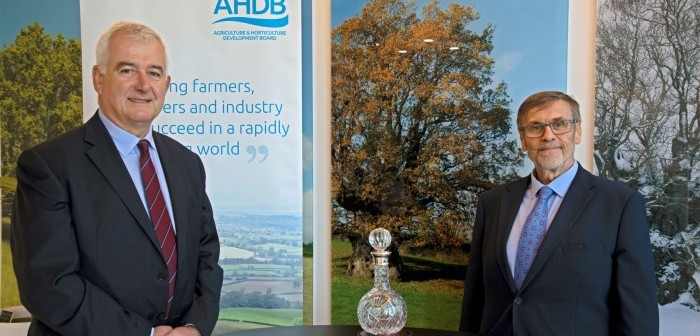 BPA’s Marcus Bates wins David Black Award | Pig World