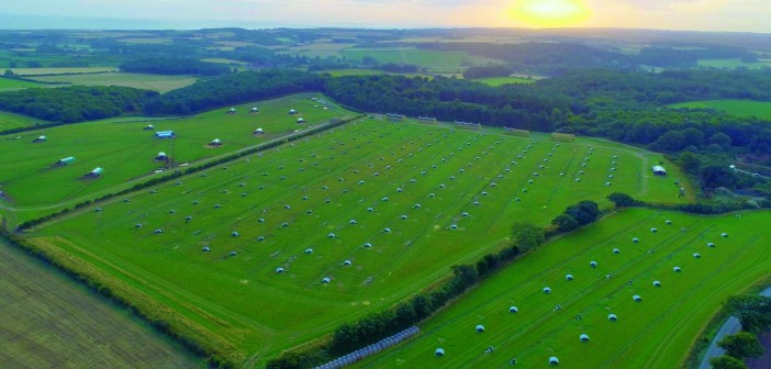 Pilgrims UK buys lamb supplier Randall Parker Foods for Dalehead Foods ...