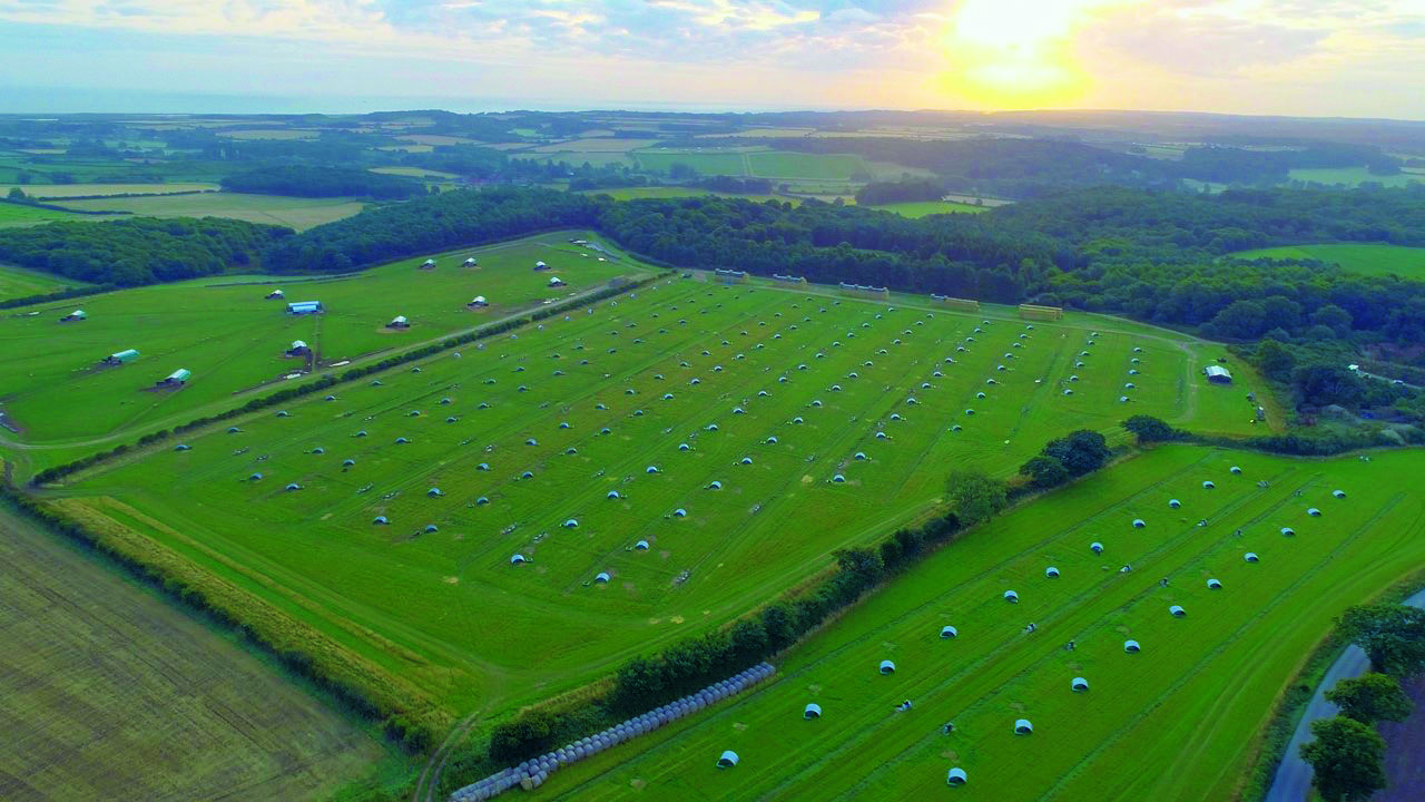 This is about staying relevant’ – Pilgrim’s sets out new sustainability ...