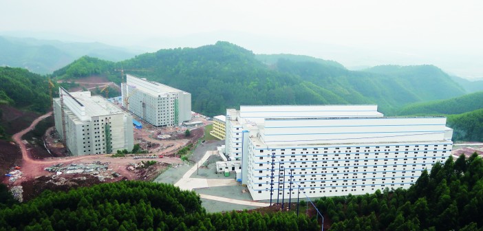 Global pork dynamics shift again as China rebuilds herd | Pig World
