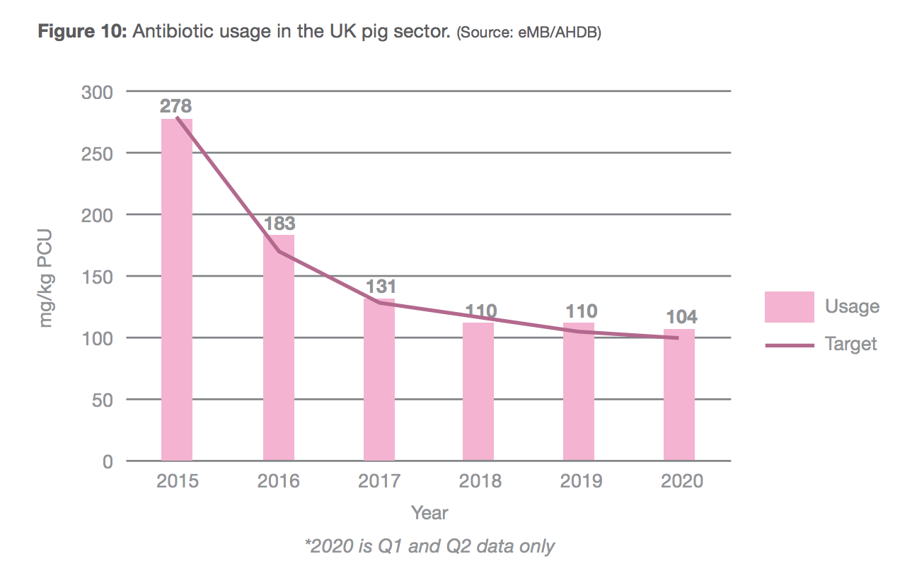 Analysis: New antibiotic targets to build on impressive progress | Pig ...